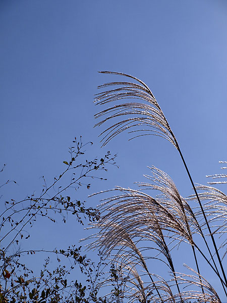 유토이미지 | 상세페이지 | 베이직샵 | 15899457 | 35697-0000066