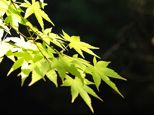 유토이미지 | 35697-0000102