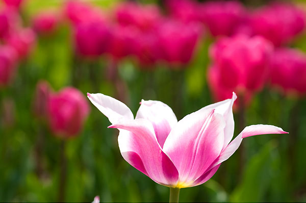 유토이미지 | 35700-0000160