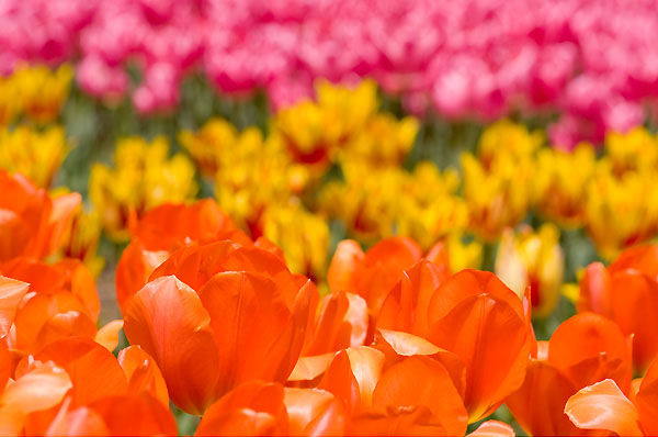 유토이미지 | 35700-0000161