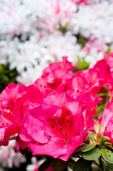 유토이미지 | 35700-0000171