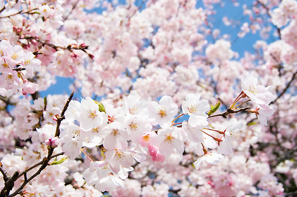 유토이미지 | 35700-0000202