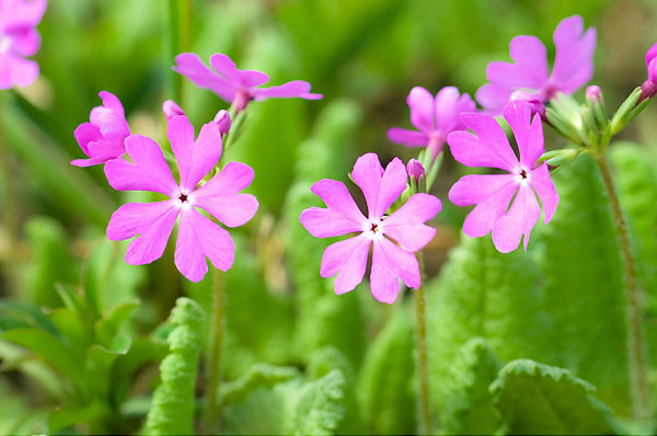 유토이미지 | 35700-0000204