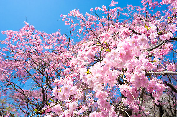 유토이미지 | 35700-0000218