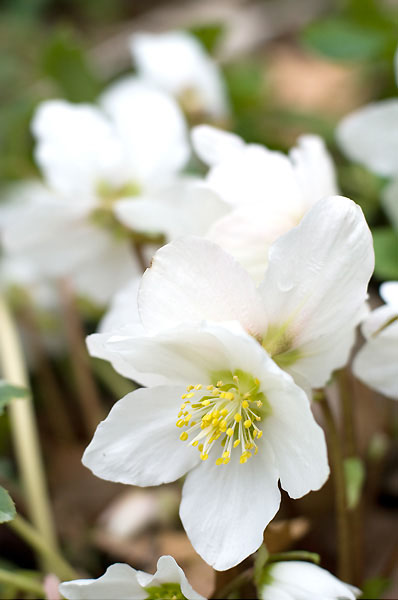 유토이미지 | 35700-0000243