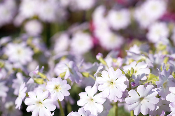 유토이미지 | 35700-0000252