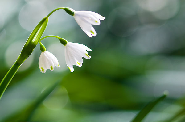 유토이미지 | 35700-0000257