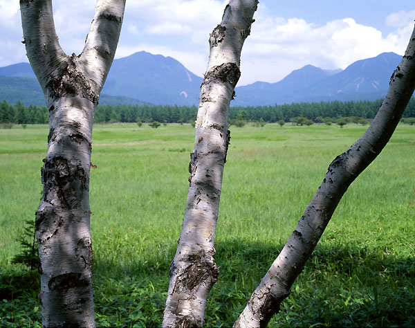 유토이미지 | 35700-0000277