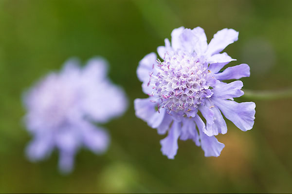 유토이미지 | 35700-0000331