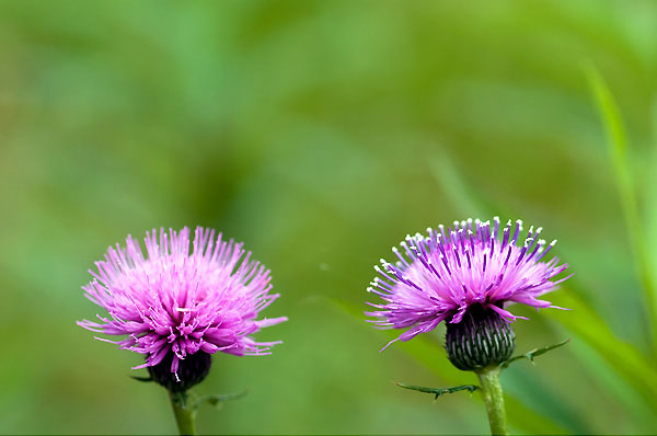 유토이미지 | 35700-0000357