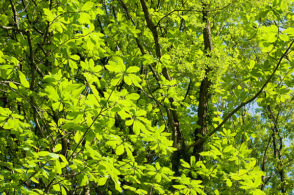 유토이미지 | 35700-0000376