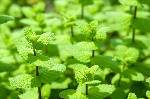 유토이미지 | 35700-0000423