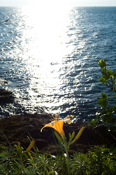 유토이미지 | 35700-0000547