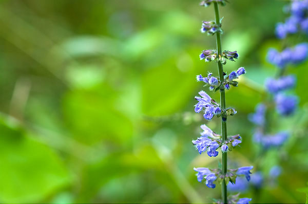 유토이미지 | 35700-0000568