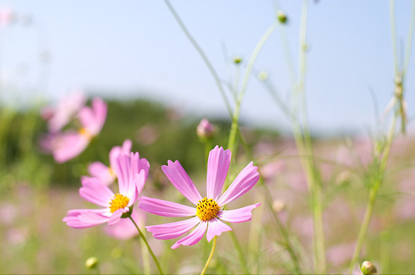 유토이미지 | 35700-0000573