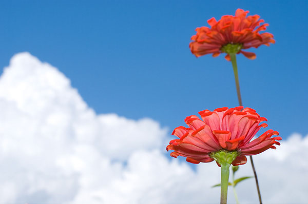 유토이미지 | 35700-0000586