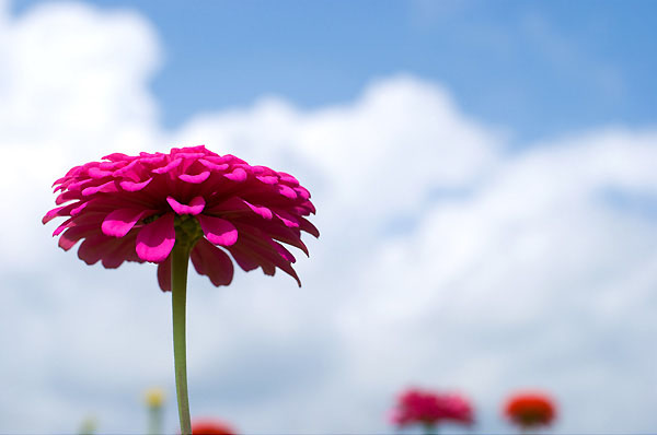 유토이미지 | 35700-0000592