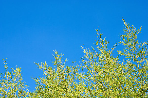 유토이미지 | 35700-0000601