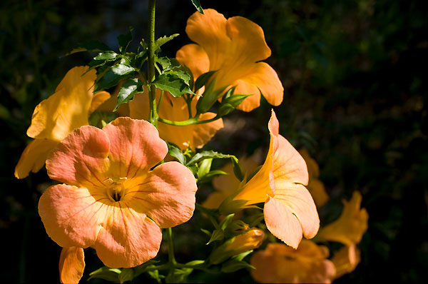 유토이미지 | 35700-0000604