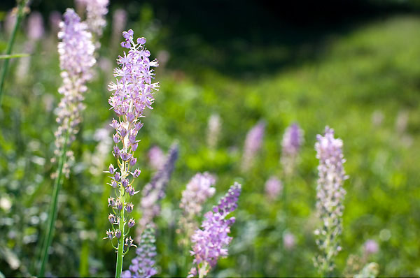 유토이미지 | 35700-0000614