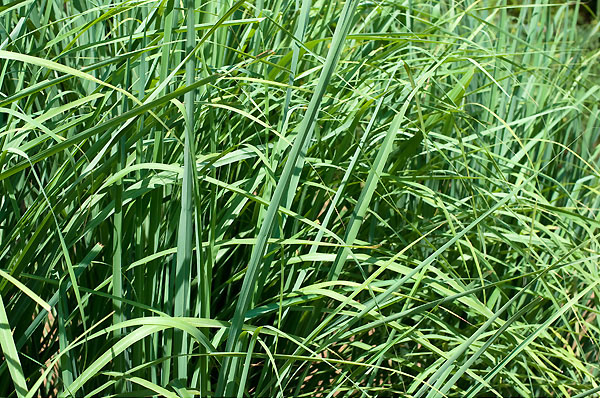 유토이미지 | 35700-0000618