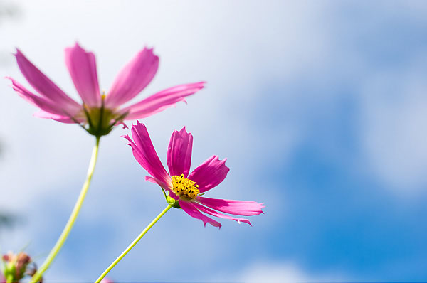 유토이미지 | 35700-0000626