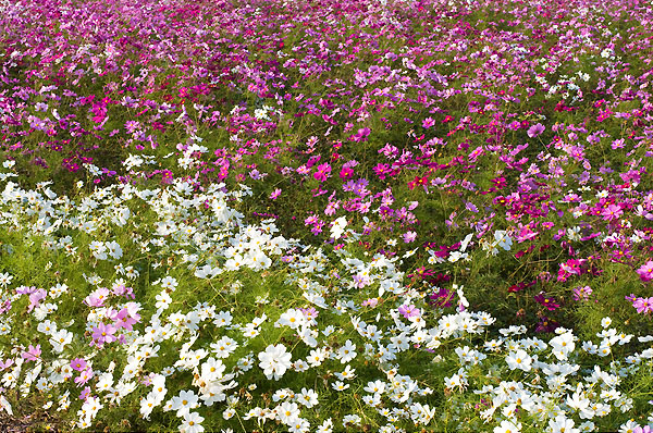 유토이미지 | 35700-0000633