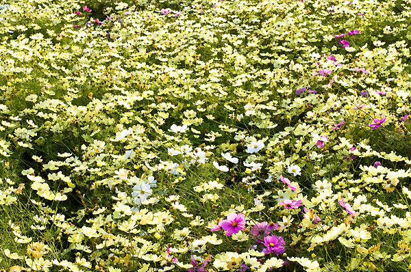 유토이미지 | 35700-0000636