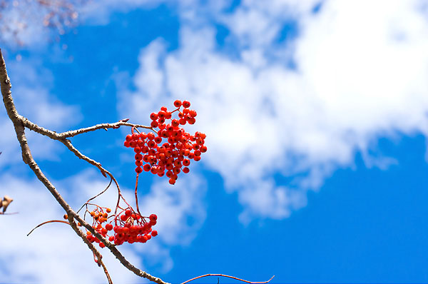 유토이미지 | 35700-0000657