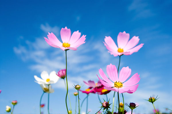 유토이미지 | 35700-0000691