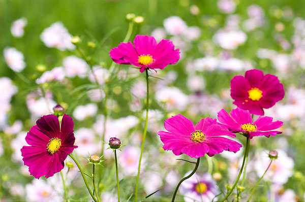 유토이미지 | 35700-0000695