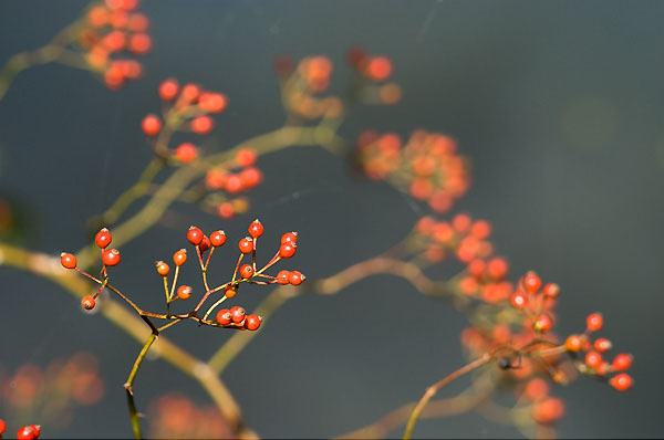 유토이미지 | 35700-0000714