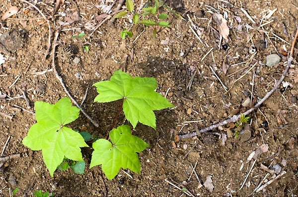 유토이미지 | 35700-0000724