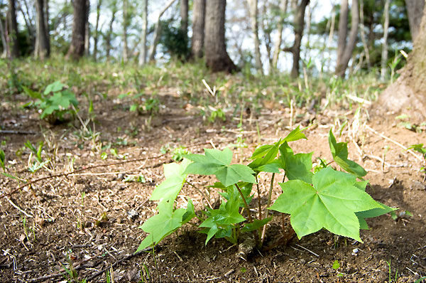 유토이미지 | 35700-0000725