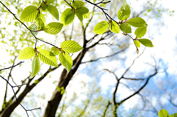 유토이미지 | 35700-0000726