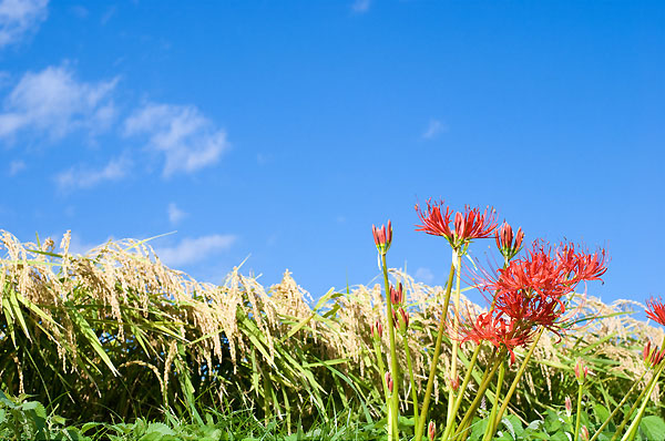 유토이미지 | 35700-0000748