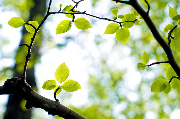 유토이미지 | 35700-0000830