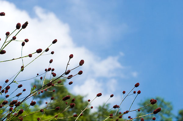 유토이미지 | 35700-0000916