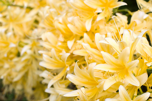 유토이미지 | 35700-0000940