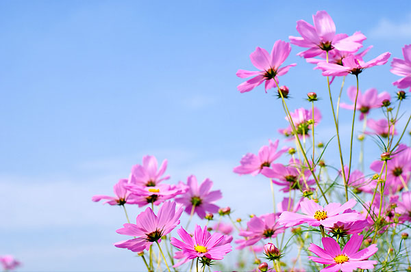 유토이미지 | 35700-0000977