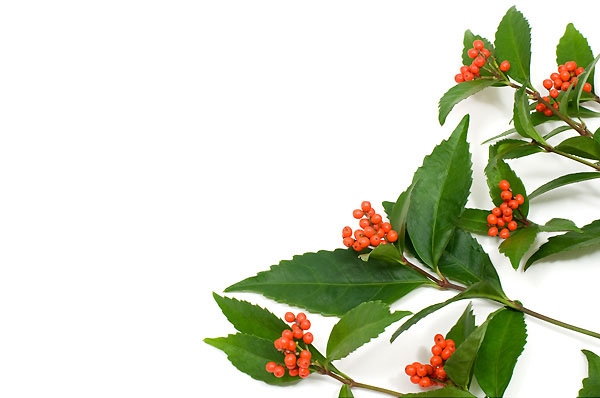 유토이미지 | 35700-0001268