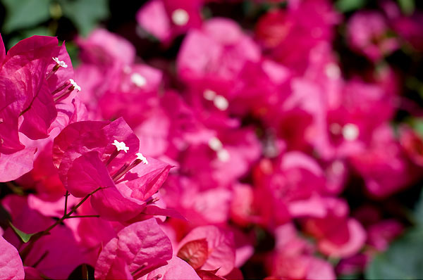 유토이미지 | 35700-0001505