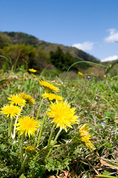 유토이미지 | 35700-0001866