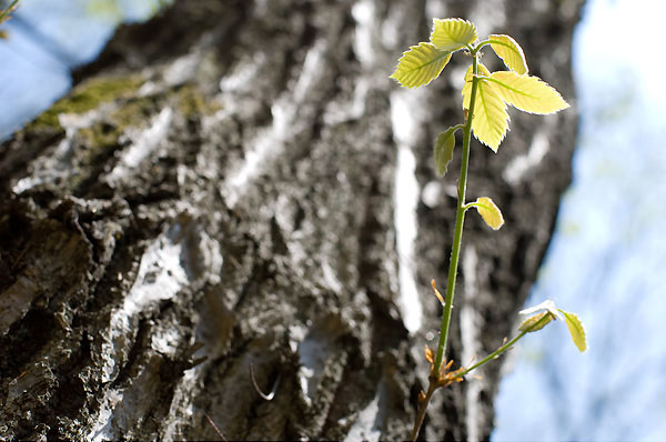 유토이미지 | 35700-0001900