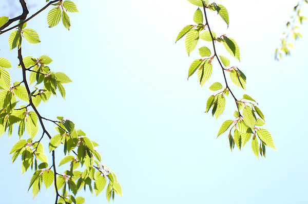 유토이미지 | 35700-0001928