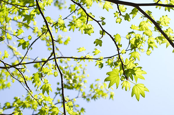 유토이미지 | 35700-0001948