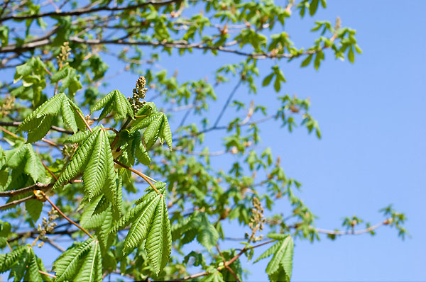 유토이미지 | 35700-0001954