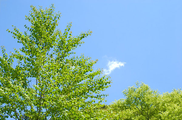 유토이미지 | 35700-0001955