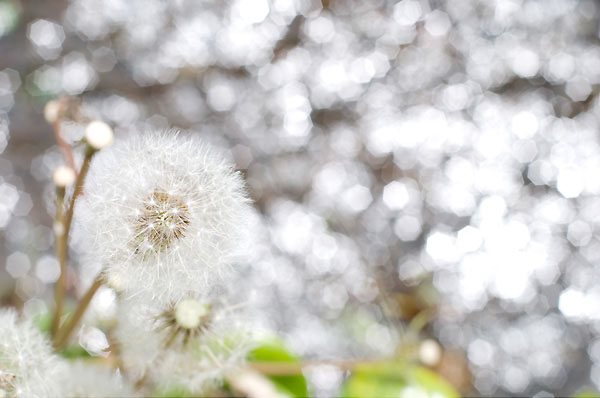 유토이미지 | 상세페이지 | 베이직샵 | 15908387 | 35700-0001998