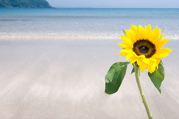 유토이미지 | 35700-0002026